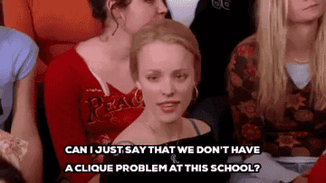New Social Cliques In School