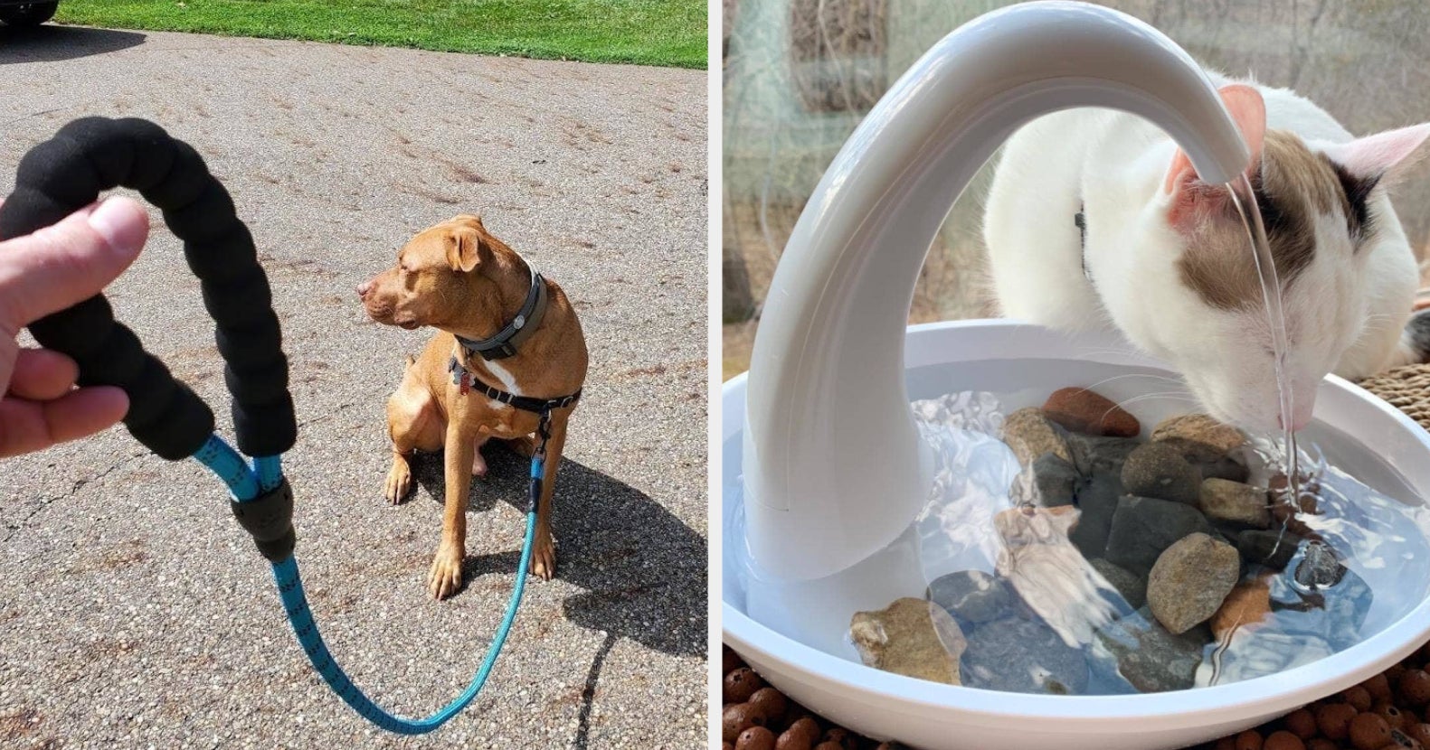 25 Affordable Pet Products Amazon Reviewers Love