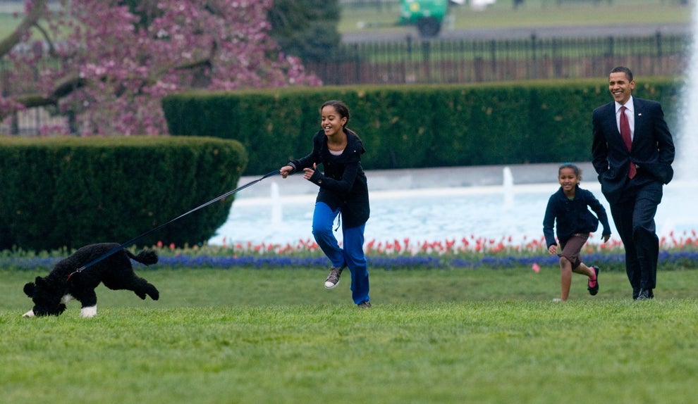 Photos Of The Obamas' Dog Bo