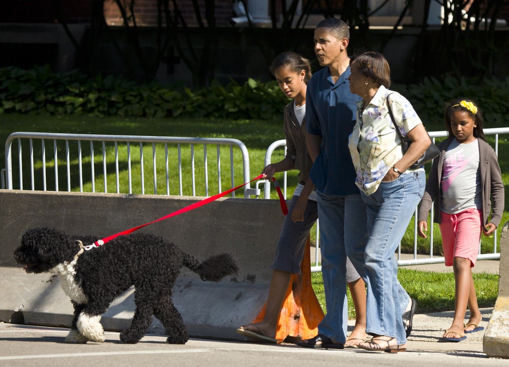 Photos Of The Obamas' Dog Bo