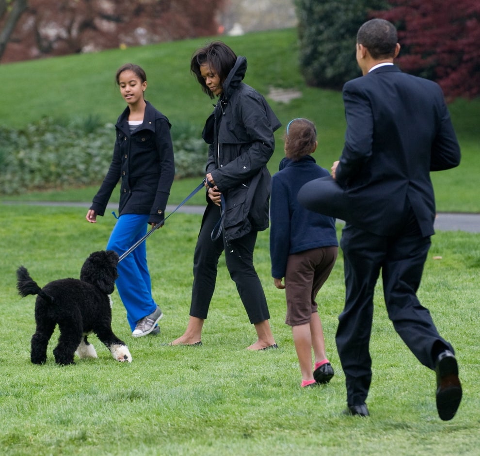 Photos Of The Obamas' Dog Bo