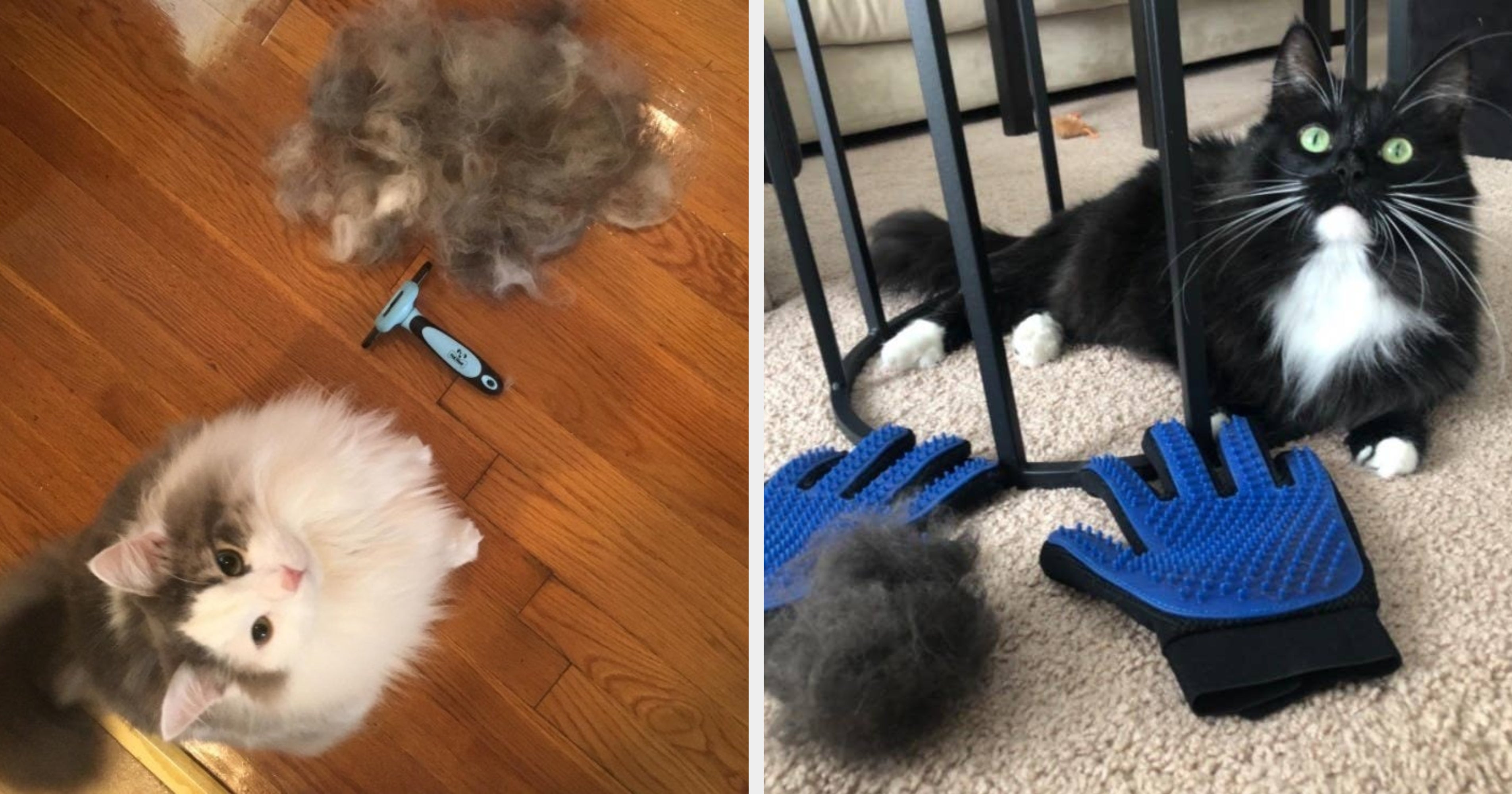15 Amazon Products That Long-Haired Cats' Owners Swear By