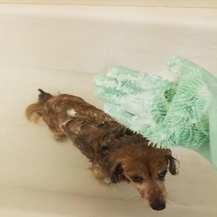 25 Amazon Products To Keep Messy Pet Homes Clean