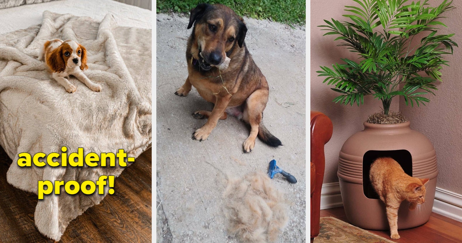 30 Clever Pet Products That Are Worth Investing In