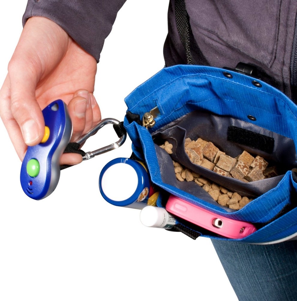 28 Practical Pet Products That Are Every Bit As Useful As They Are Easy ...