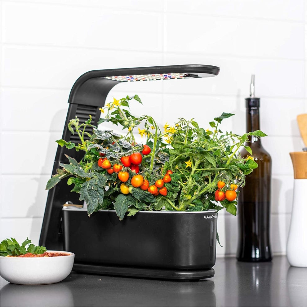 Amazon Canada *Just* Put A Bunch Of Kitchen Stuff On Sale For Prime Day ...