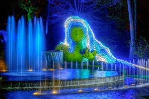 Emory Admission on BuzzFeed