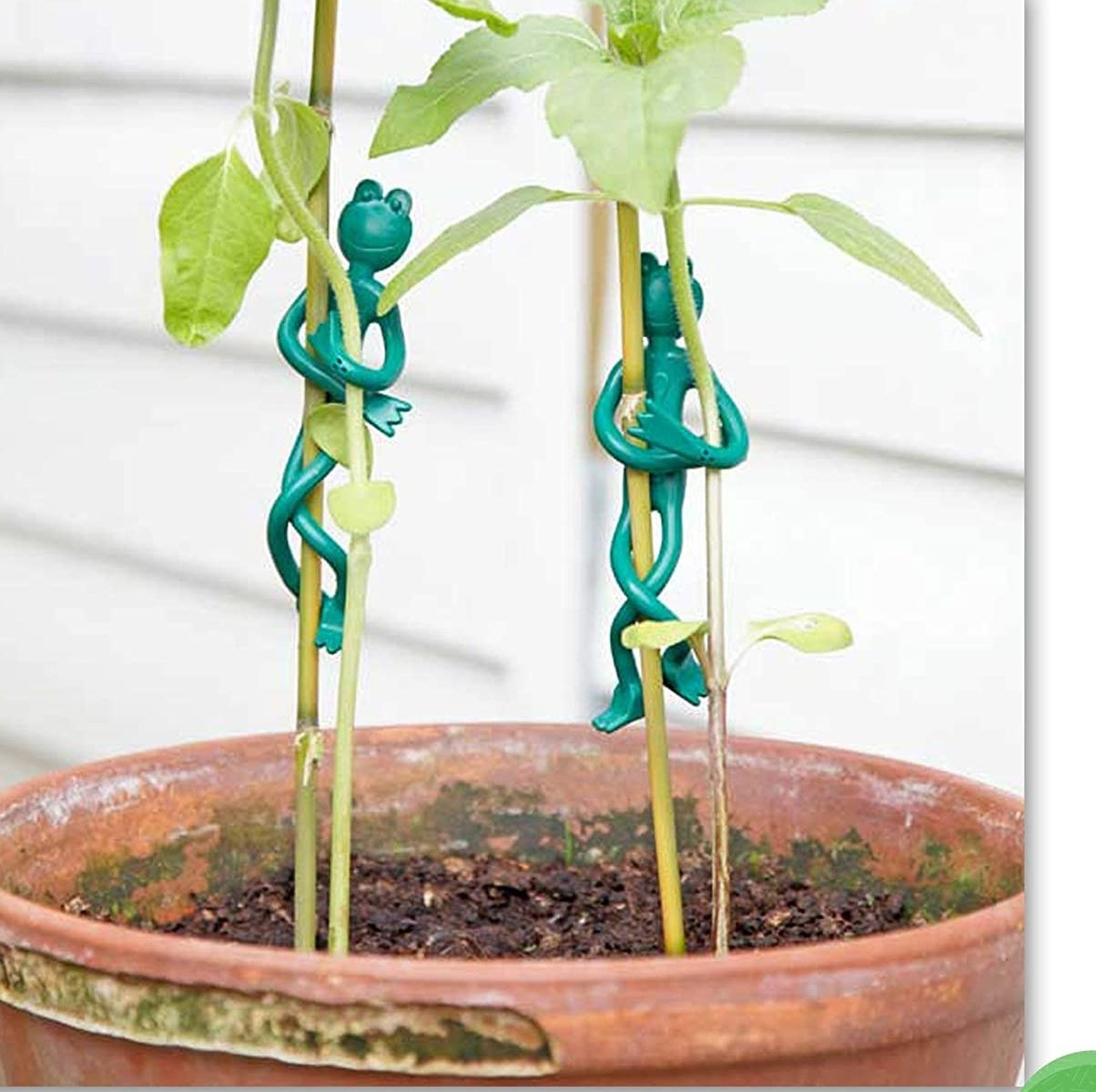 Products That Made Me Think "Huh, That's Pretty Cool Actually"