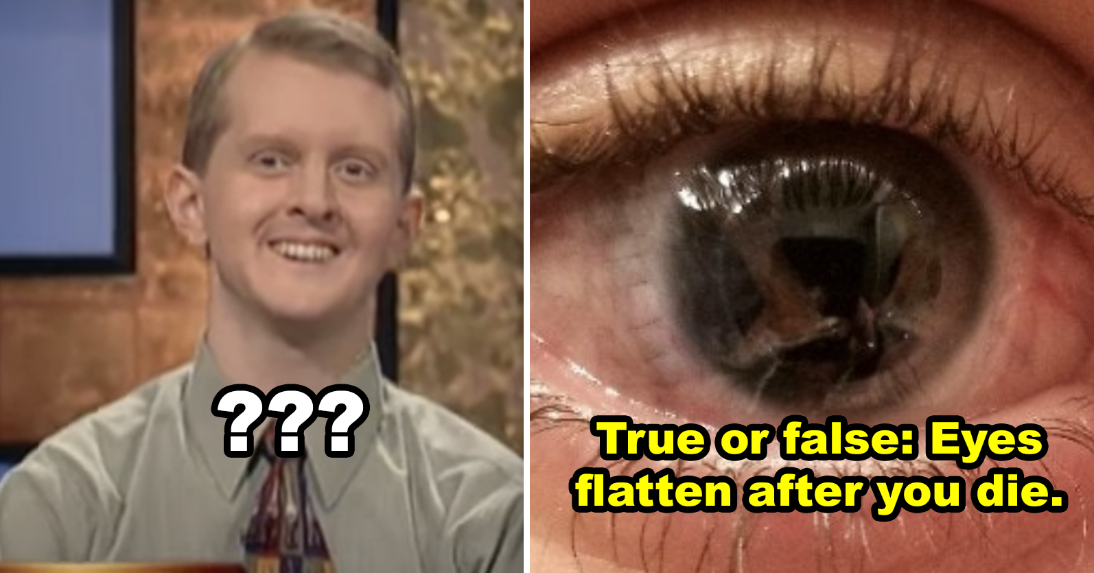 16 Random Trivia Questions Quiz