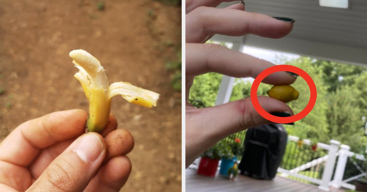 19 Pictures Of Extremely Tiny Foods That Are Way Funnier Than They ...