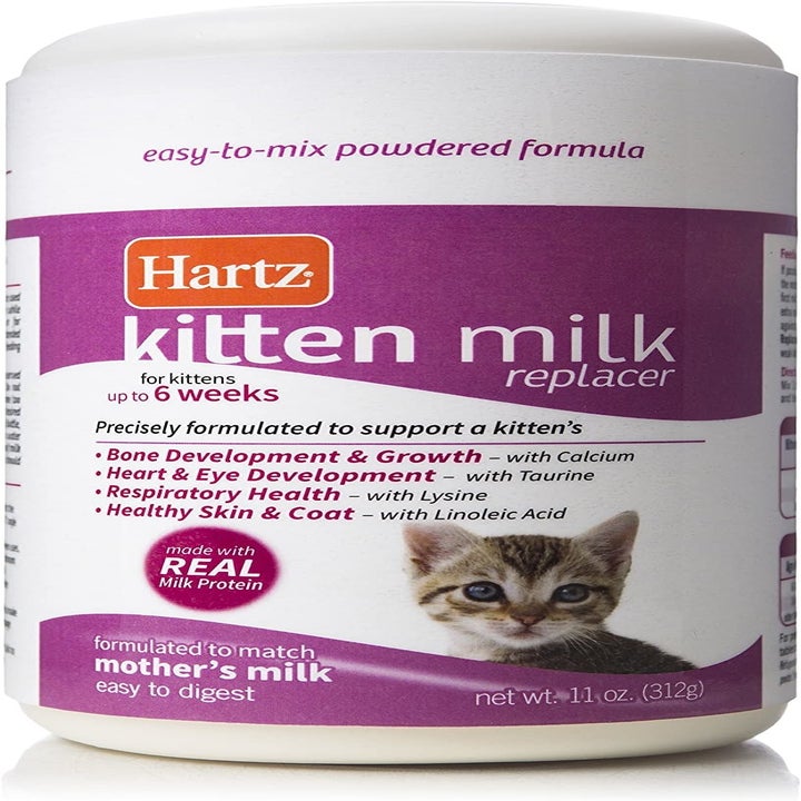 25 Things From Amazon That Kitten Owners Swear By