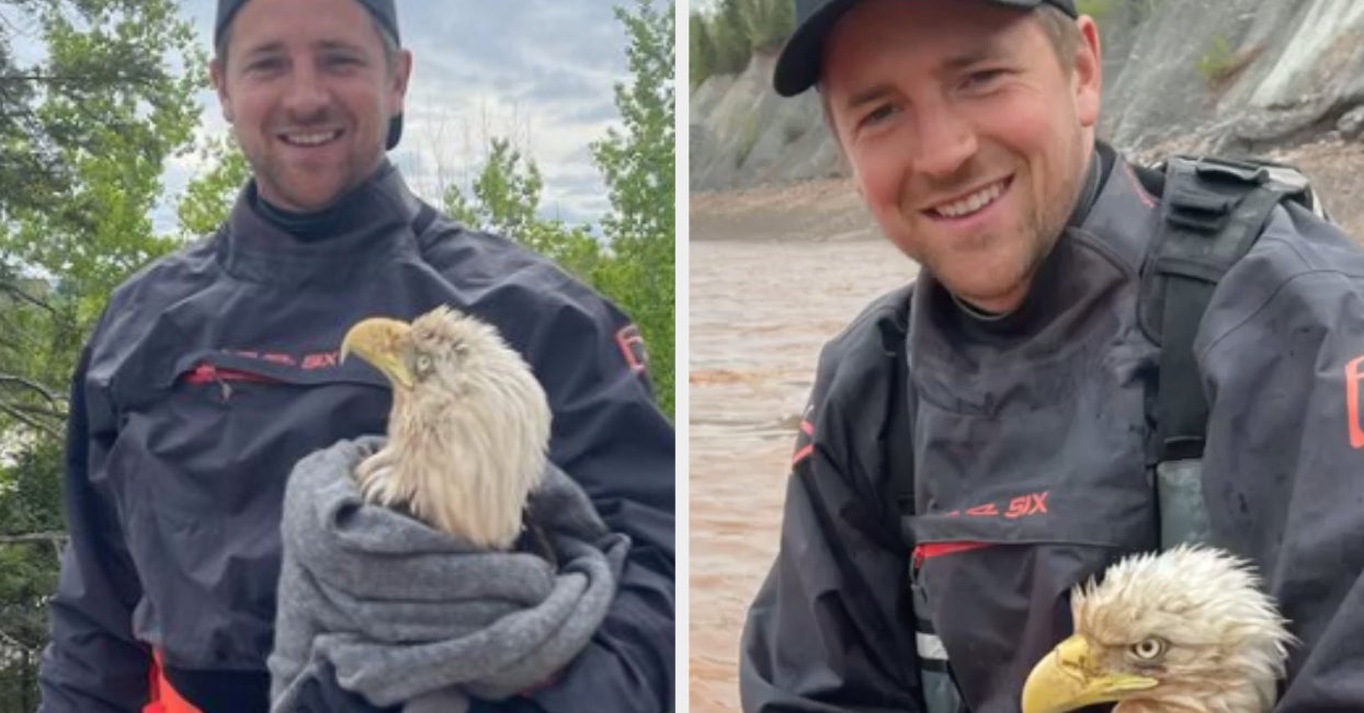 A Canadian Man Rescued A Bald Eagle And The Photos Are Pretty Great