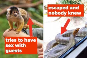 Stephen LaConte on BuzzFeed