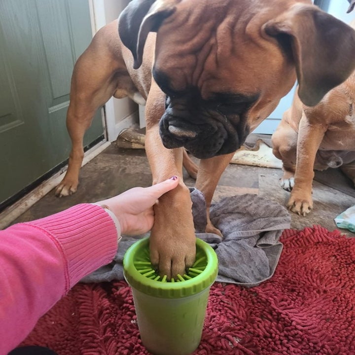 31 Products To Make Daily Life Much More Efficient