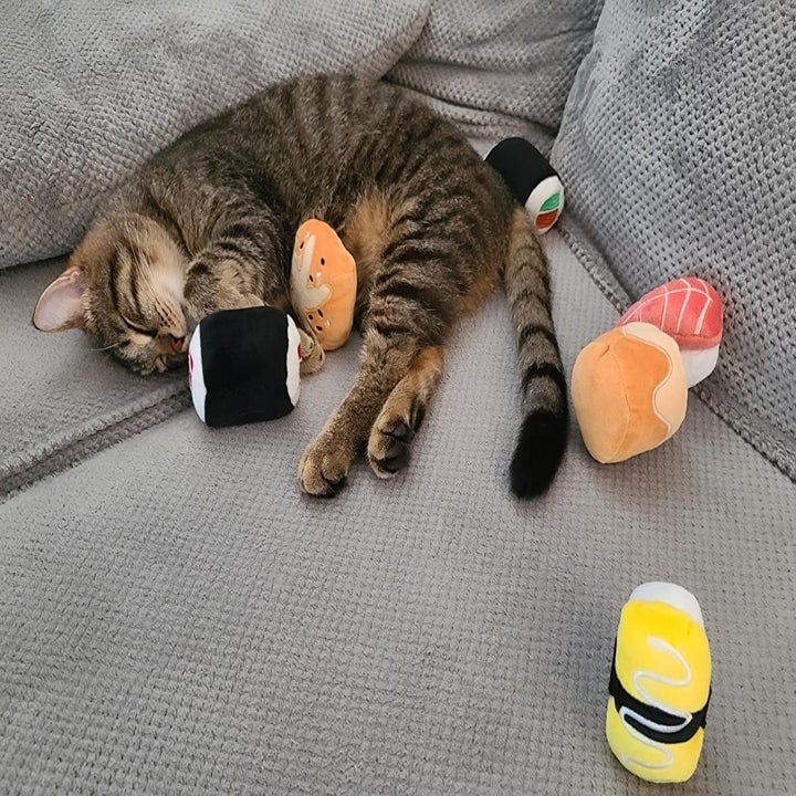25 Things From Amazon That Kitten Owners Swear By