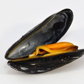 Can You Eat These 33 Foods With Weird Textures?