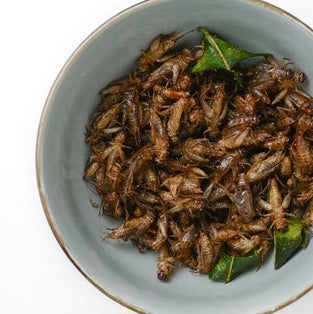 Can You Eat These 33 Foods With Weird Textures?