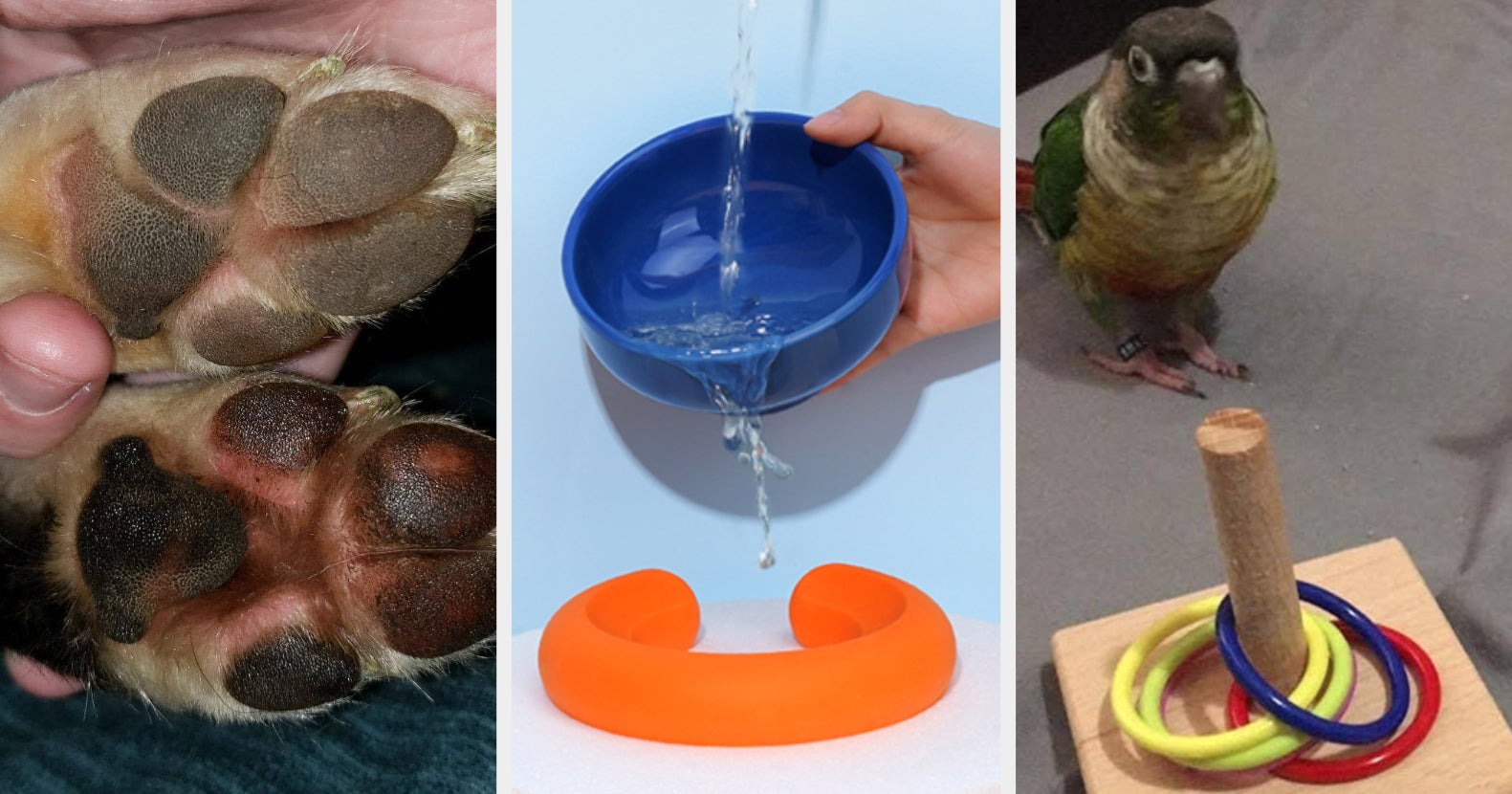 Efficient Pet Supplies