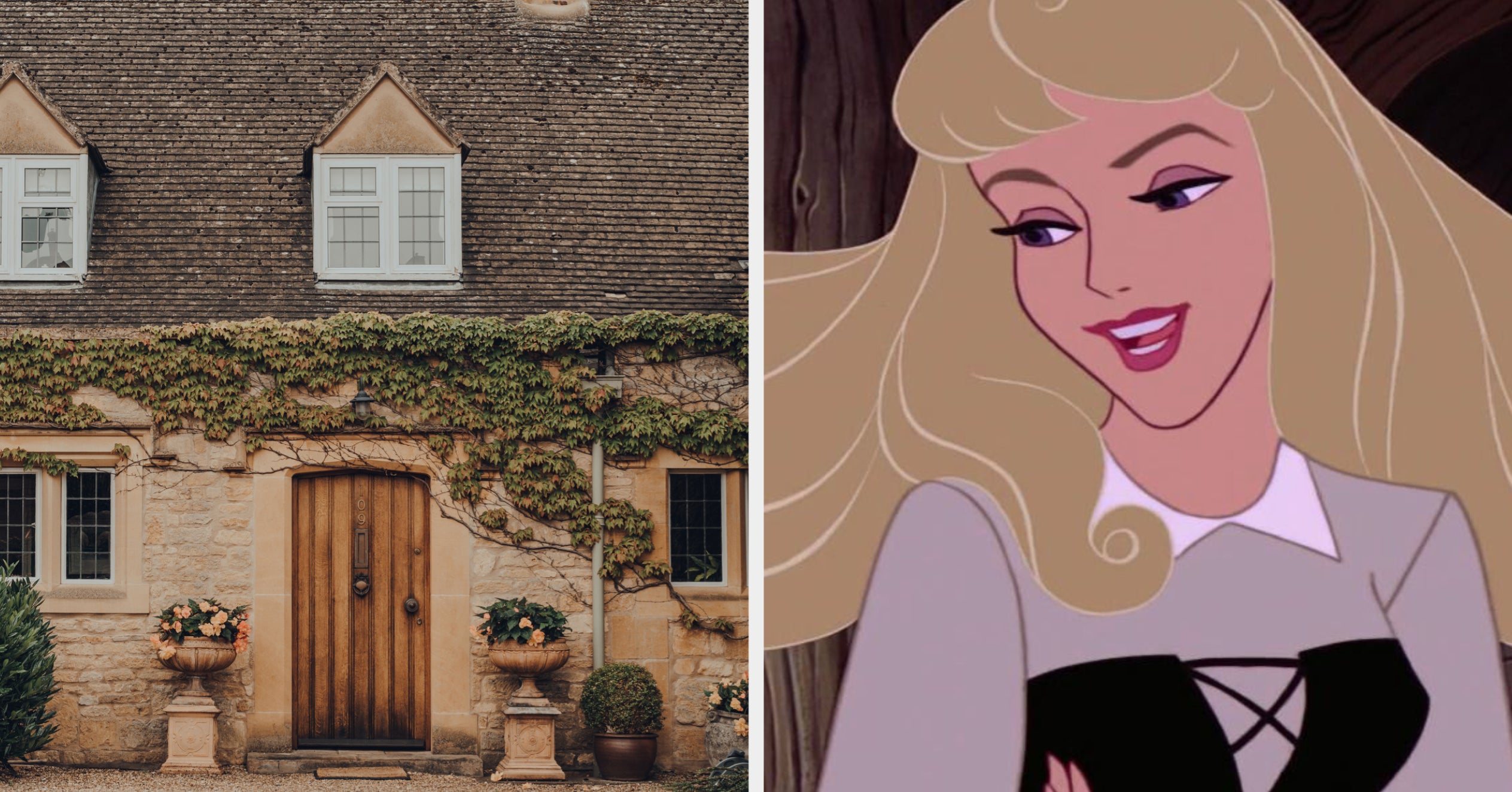 Build Your Own Cottage To Find Out Which Original Disney Princess You Are