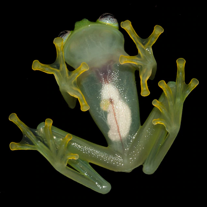 21 Historical Trivia Facts That Will Leave You Amazed