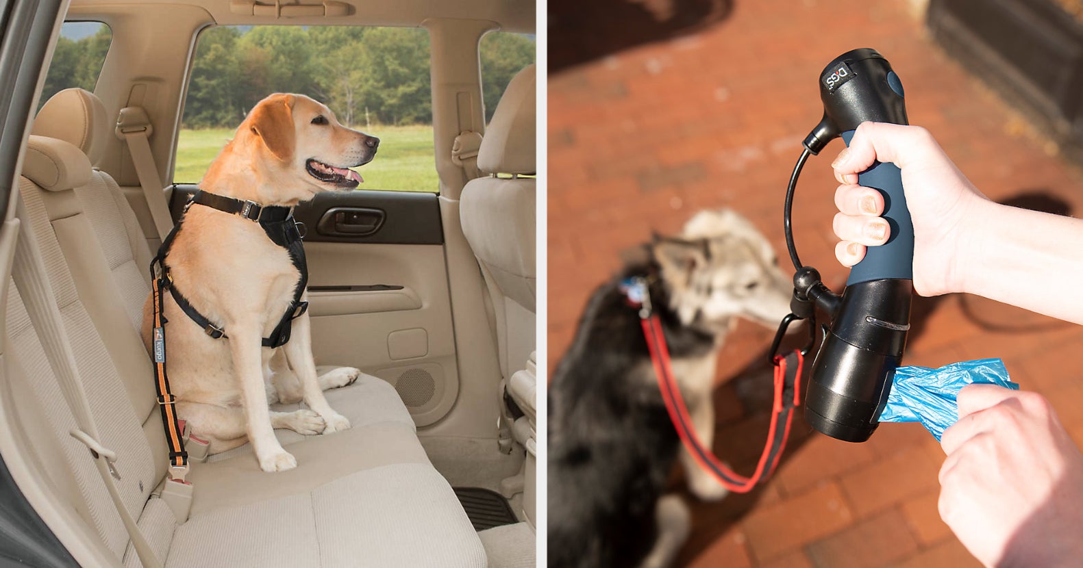 20 Clever Life Hack Products From PetSmart For Pet Owners