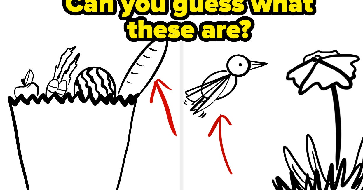 Guess My Quick Pictionary Sketches