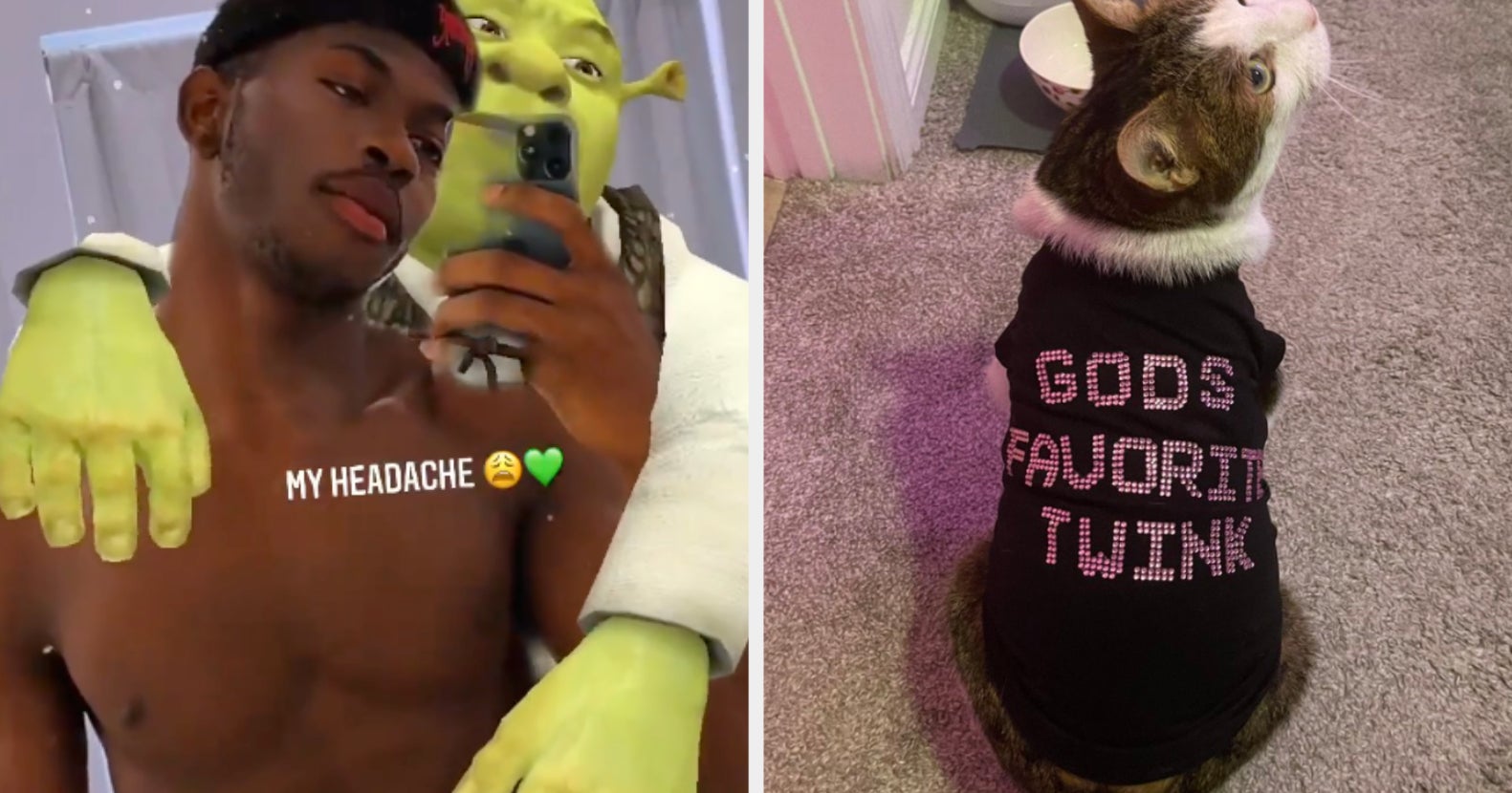 Best Of Gay Twitter This Week