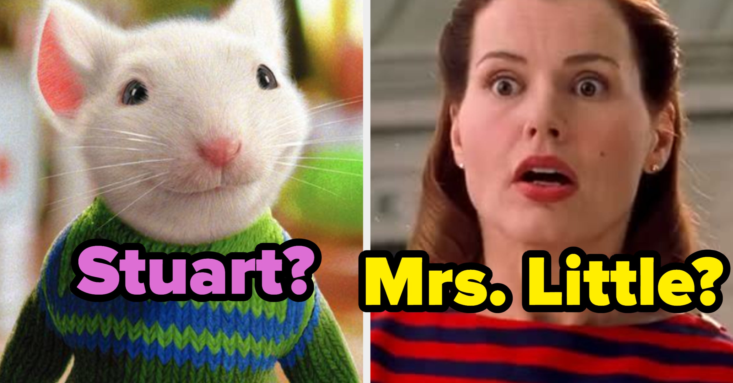 Stuart Little Quiz: Which Character Matches Your Personality?