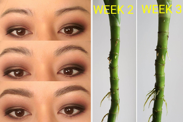 39 Things With Before And After Photos That Simply Can't Be Ignored ...