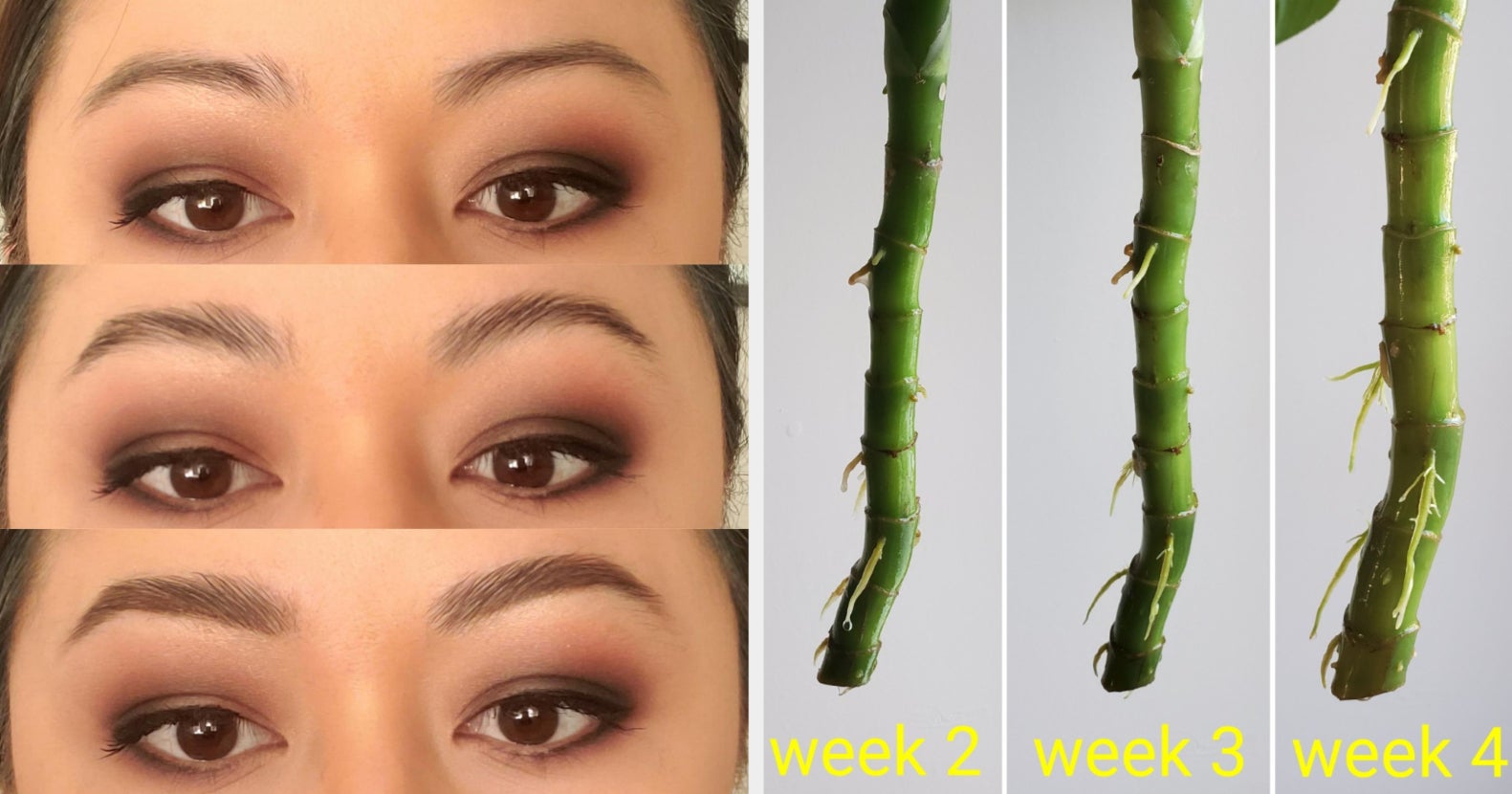 39 Things With Before And After Photos That Can't Be Ignored