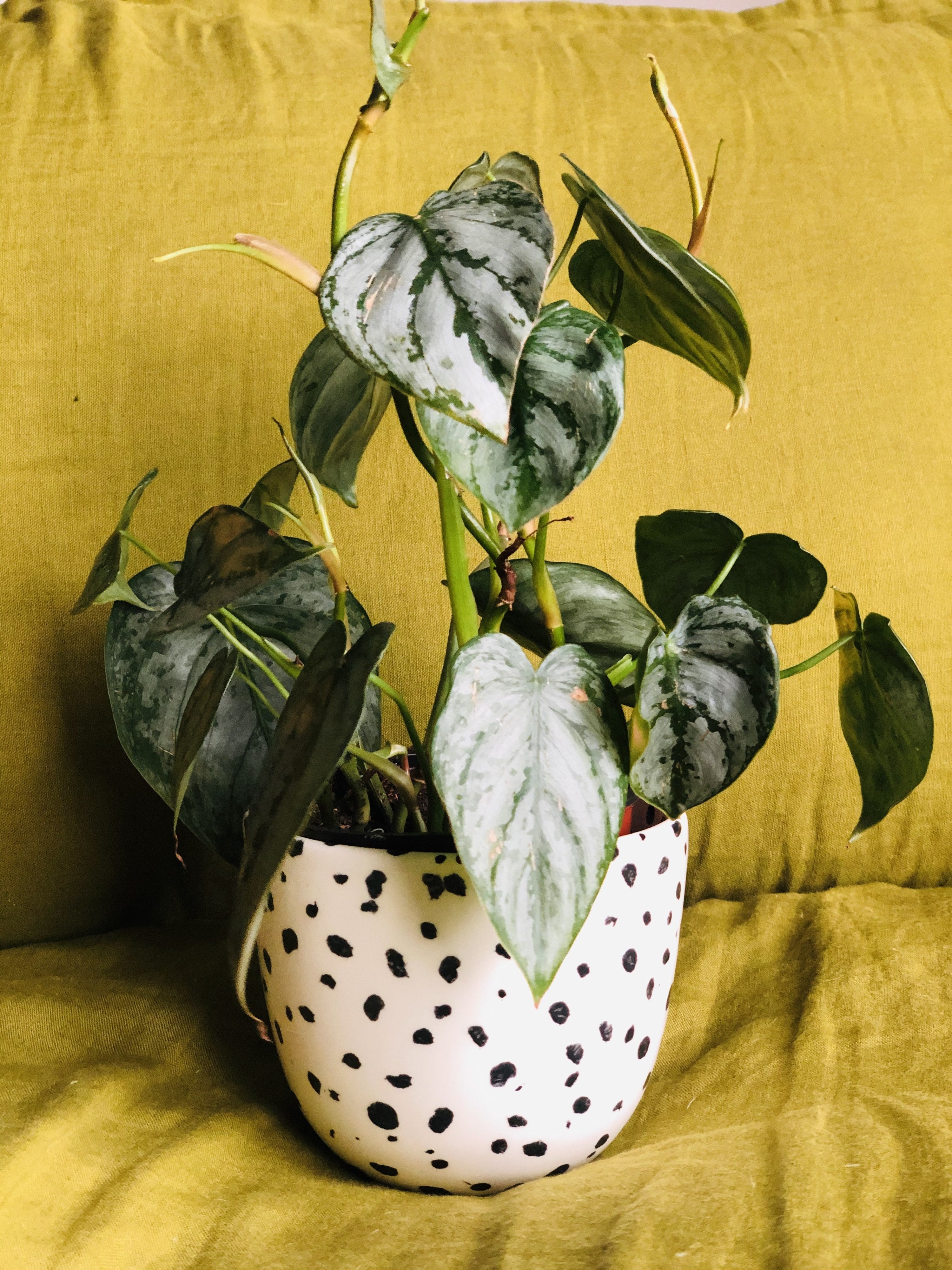 25 Pretty Planters That Double As Decor