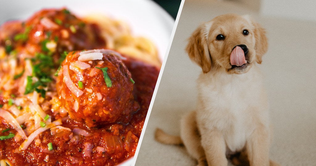 Foods From A-Z To Find Which Dog Breed You Are Quiz