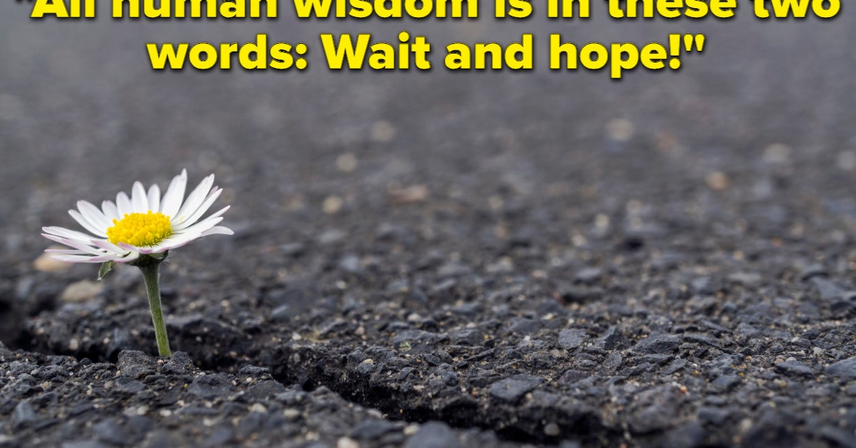 Most Beautiful Lines In Literature And Poetry