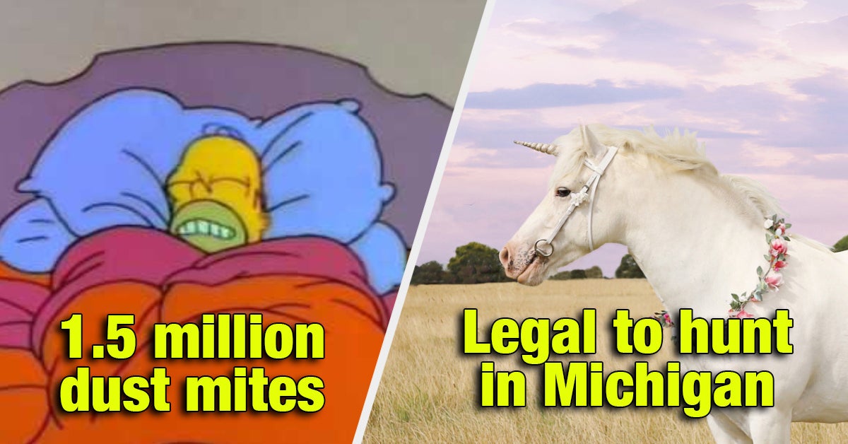 Weird Facts Quiz: Answer Questions For Weird Trivia