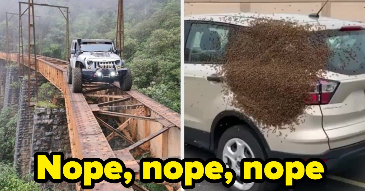29 Distressing Photos That Are Stress-Inducing