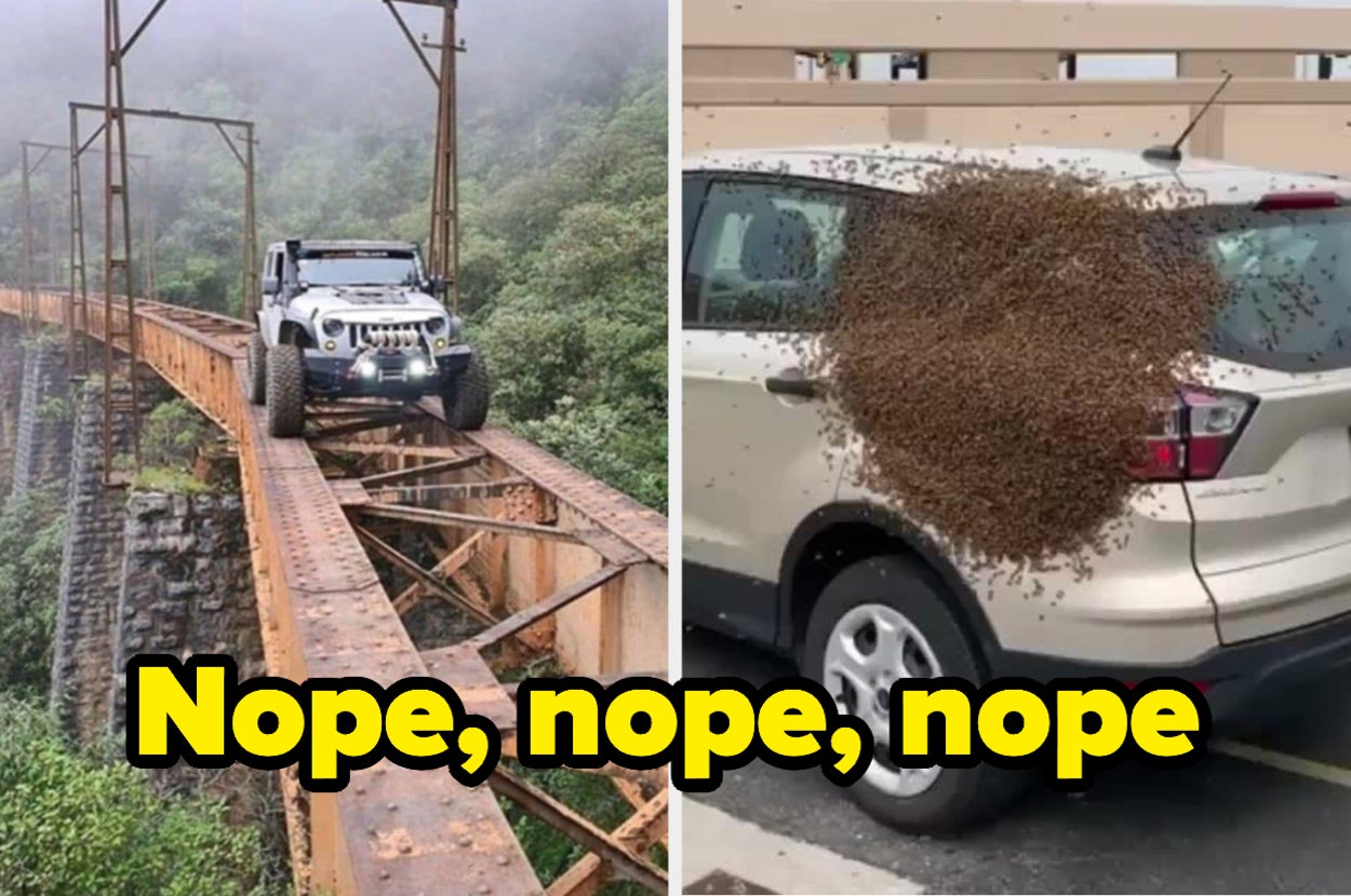 28 Fotos que te harán decir "no, nope, no no, para nada nope"