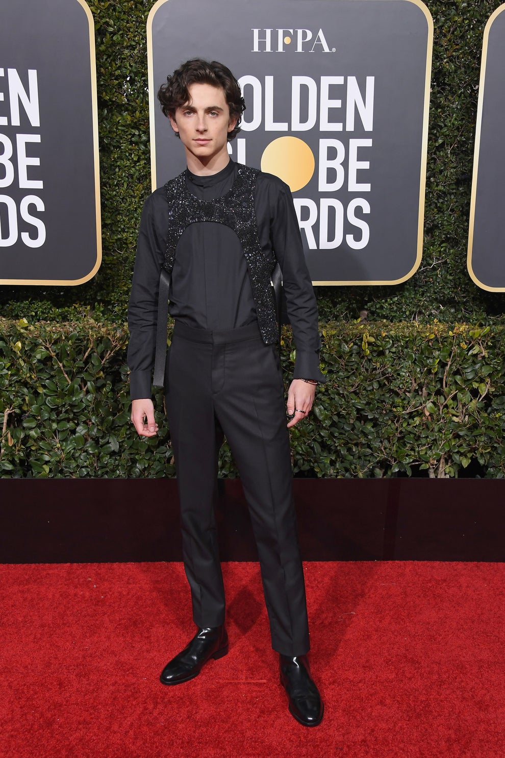 Timothee Chalamet's Best Red Carpet Looks