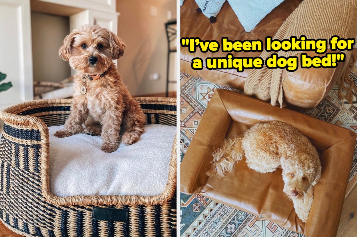 unique dog beds