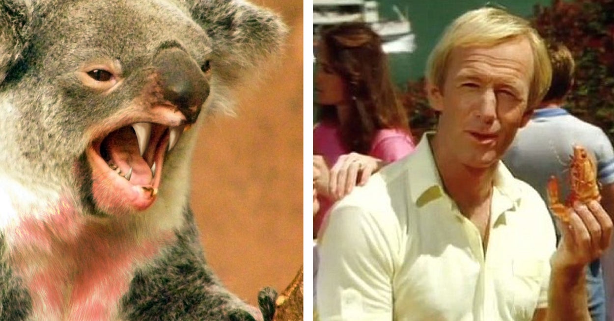 Australian Stereotypes That The Rest Of The World Still Believes