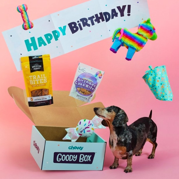 25 Things From Chewy For A Weekend With Your Dog