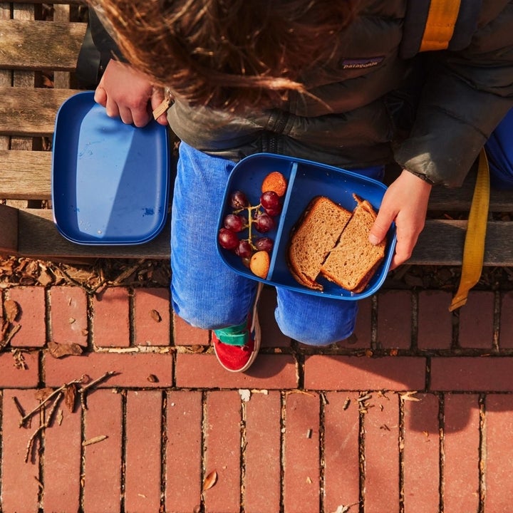 17 Best Bento Boxes For Kids For 2022