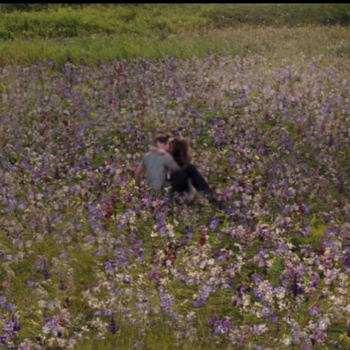 Twilight Netflix: Top 10 Best Scenes, Ranked