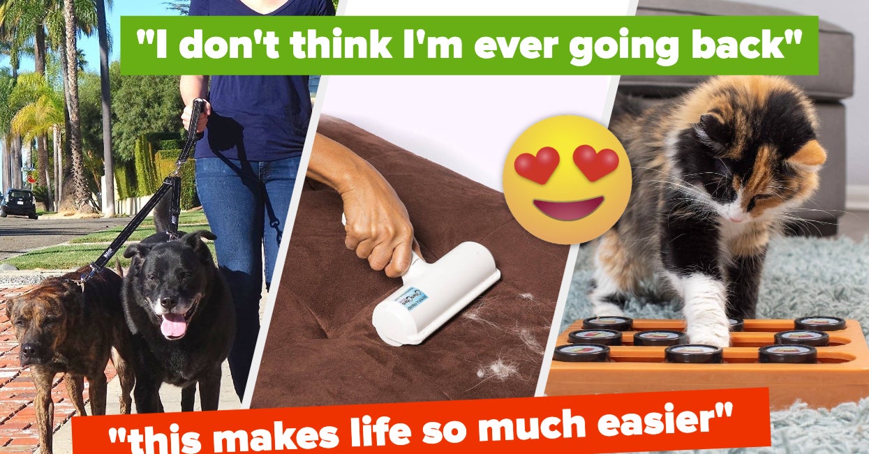 25 Products From Chewy That Help Solve Small, Everyday Problems