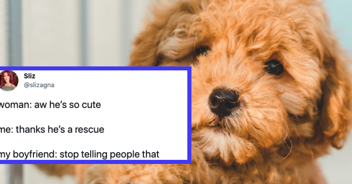 19 Great Tweets To Start Your Week Off Right
