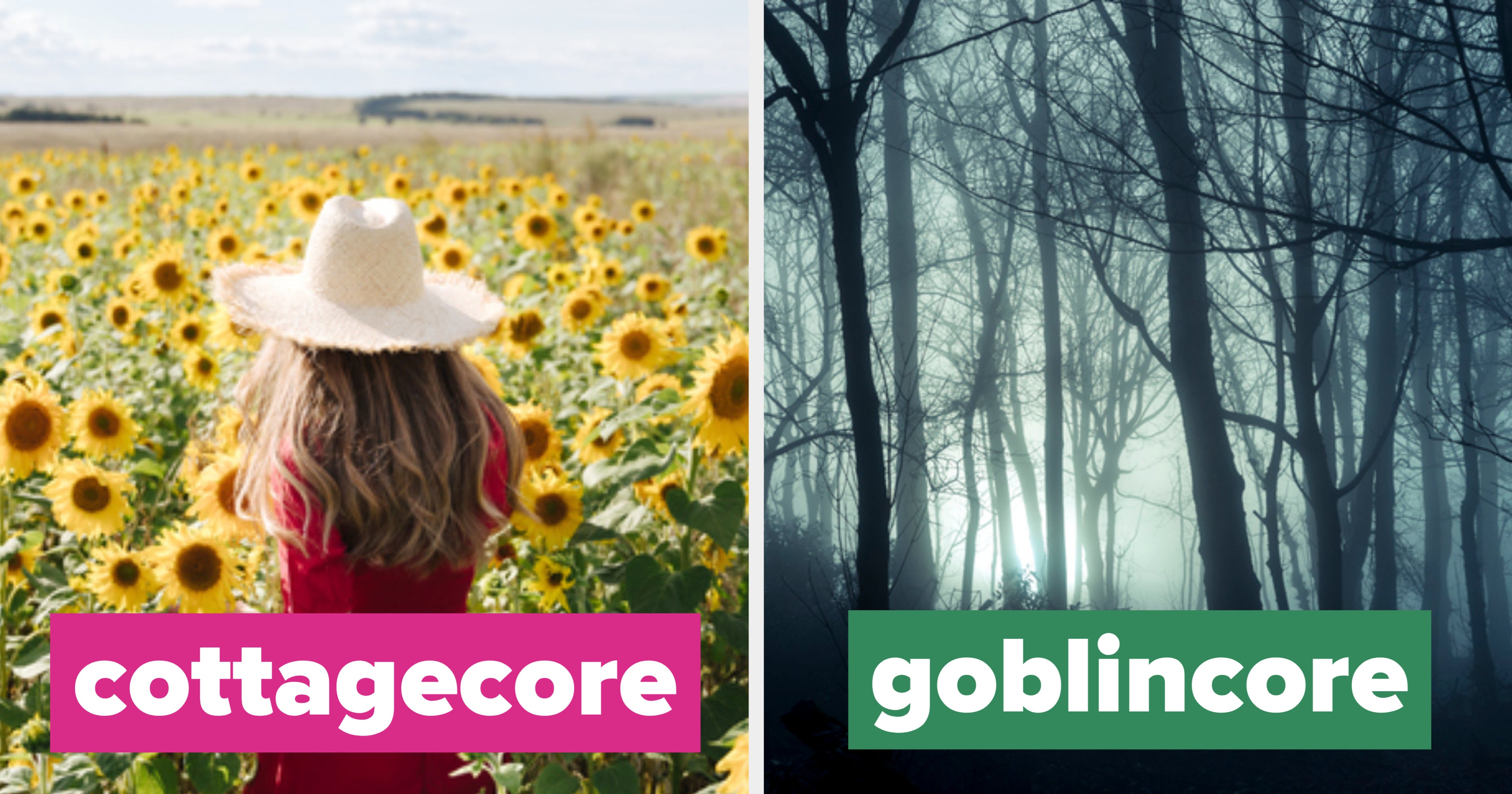 Are You More Cottagecore Or Goblincore?