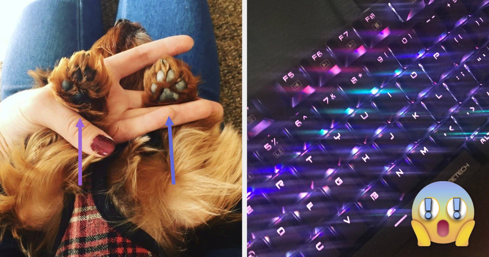 39 Really Cool Products
