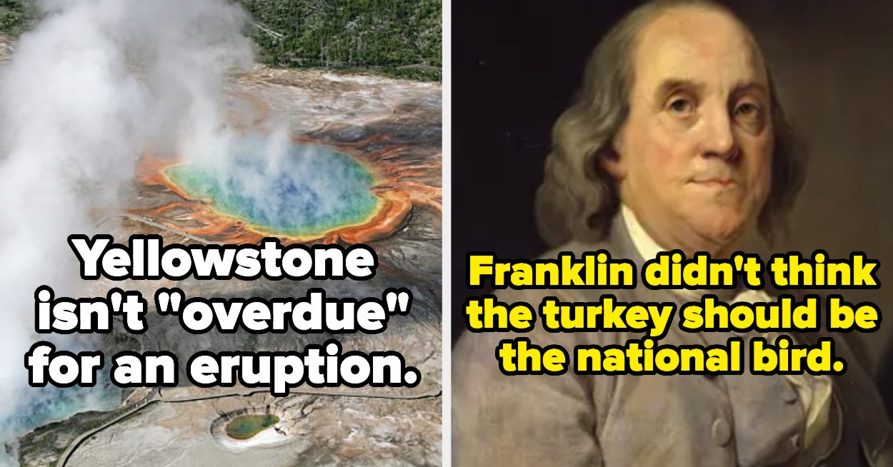 23 "Fun Facts" That Aren't Actually True