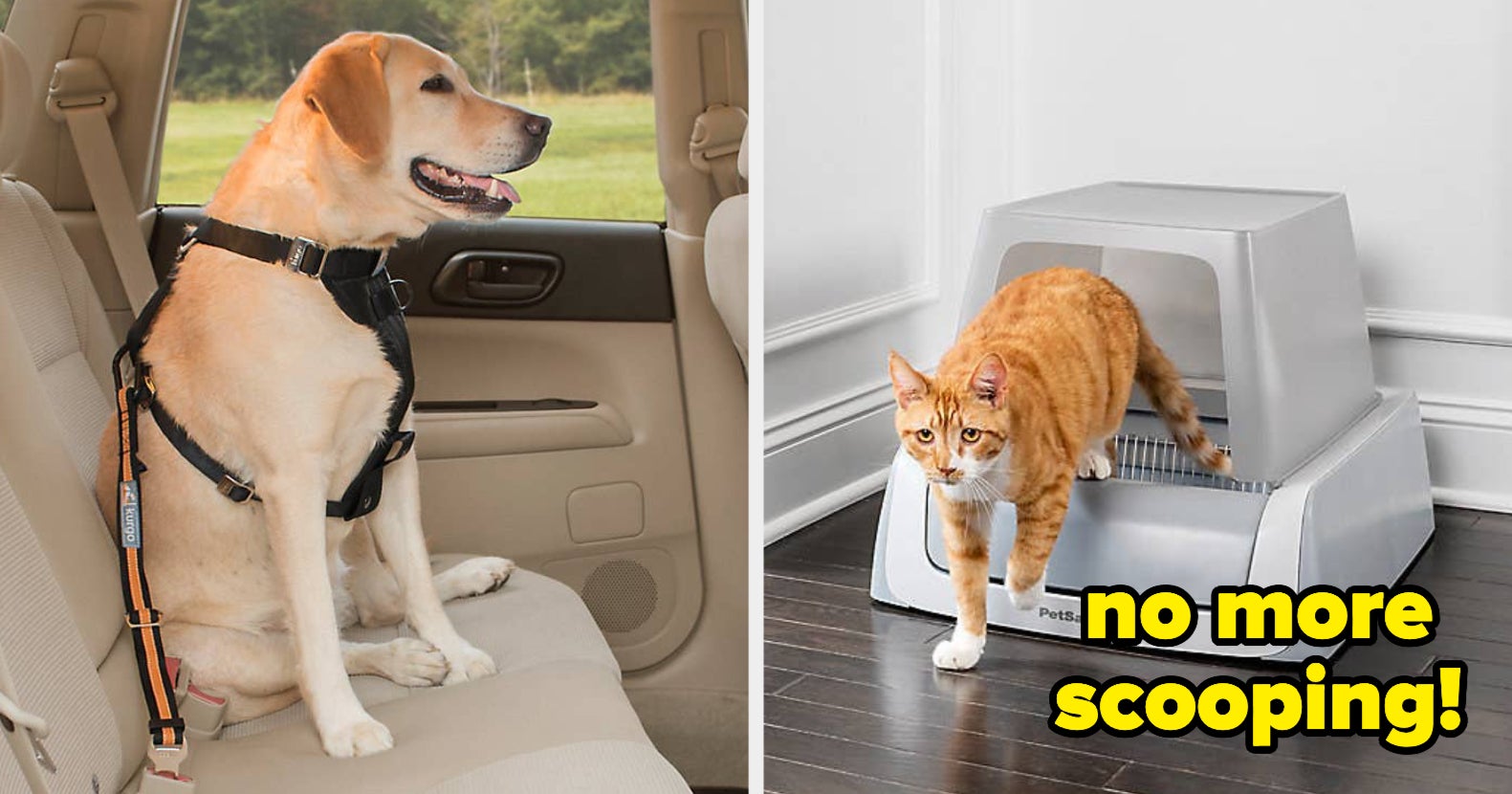 25 Things From PetSmart That’ll Help Solve Pet Problems