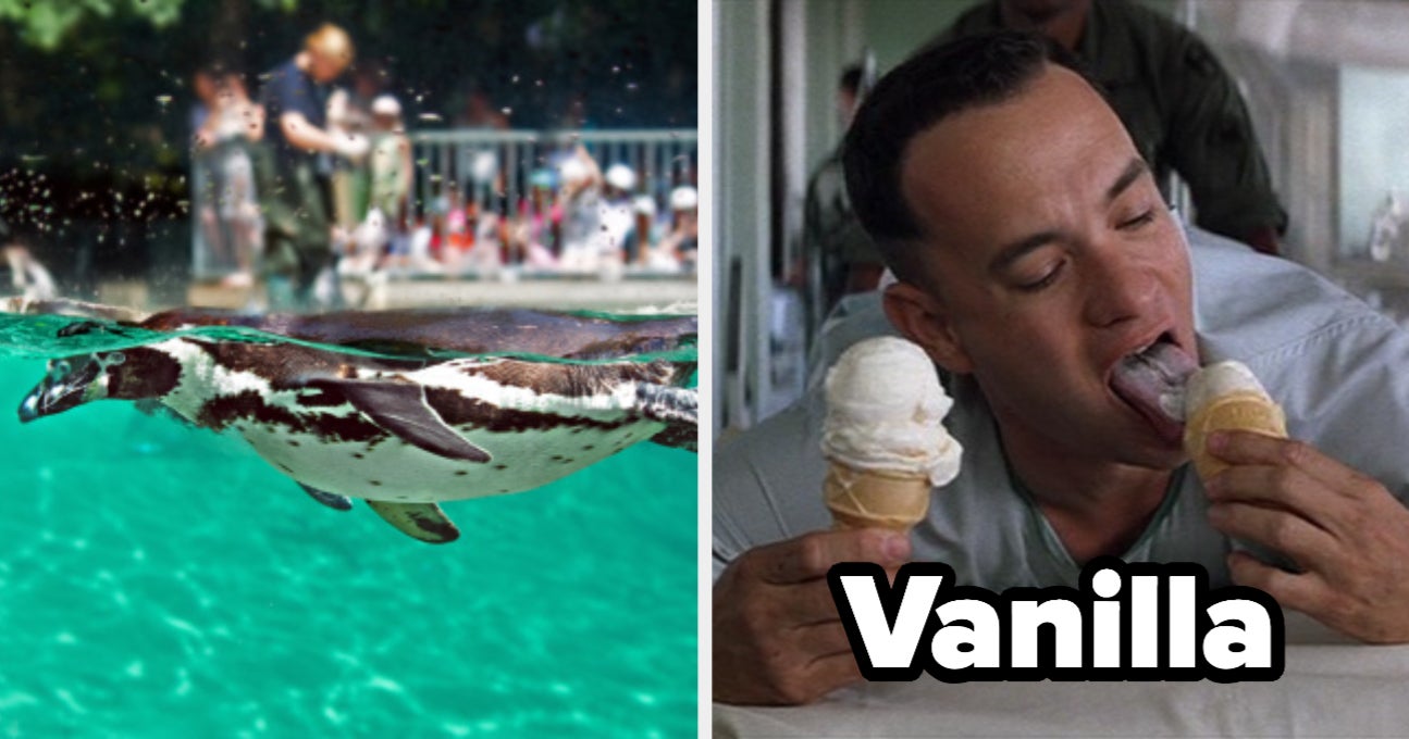 Design A Zoo And Find Out Which Ice Cream You Are