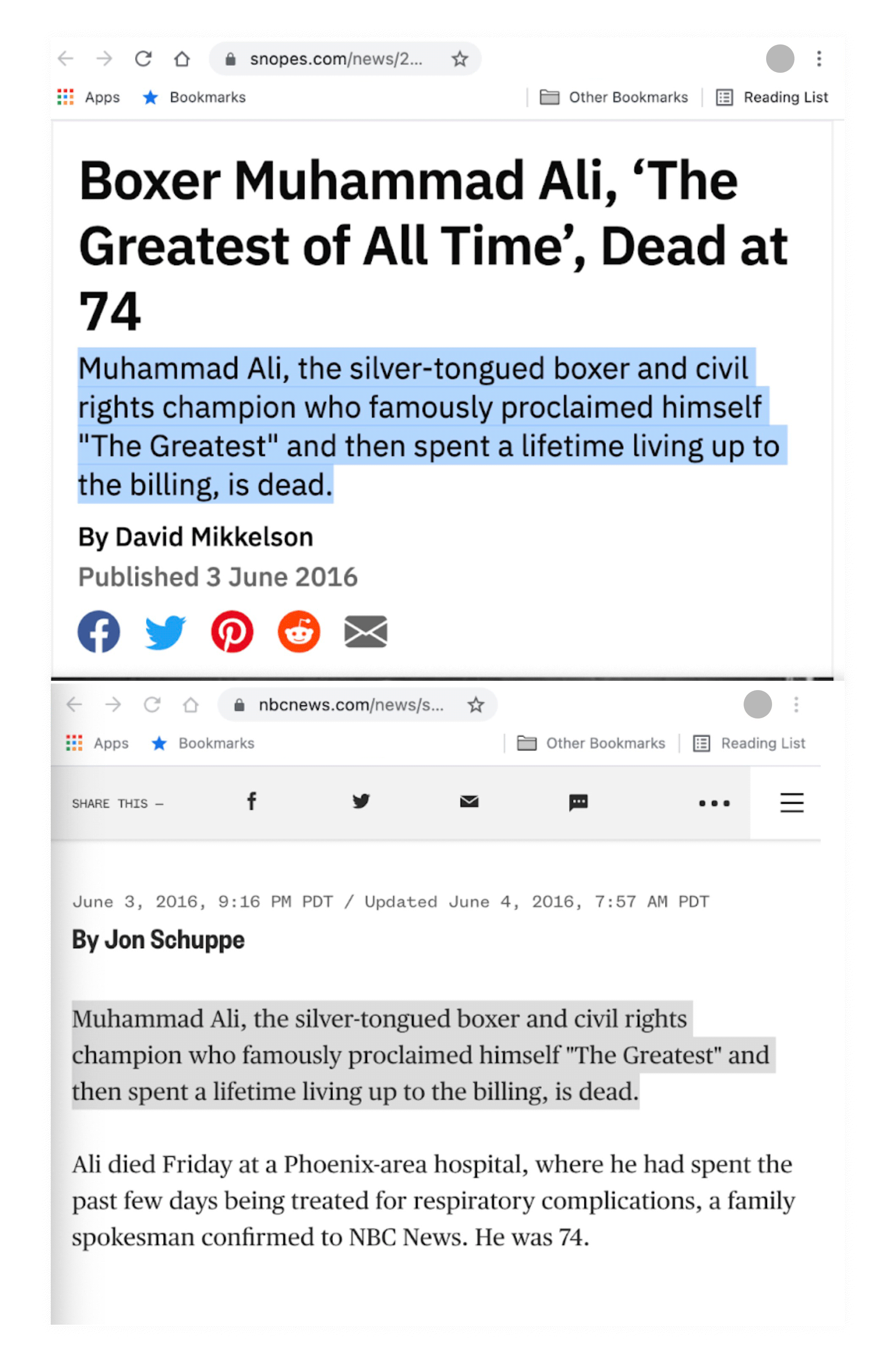 The Co Founder Of The Fact Checking Site Snopes Was Writing Plagiarized the-co-founder-of-the-fact-checking-site-snopes-was-writing-plagiarized